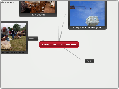 Proceso productivo de la lana - Mind Map